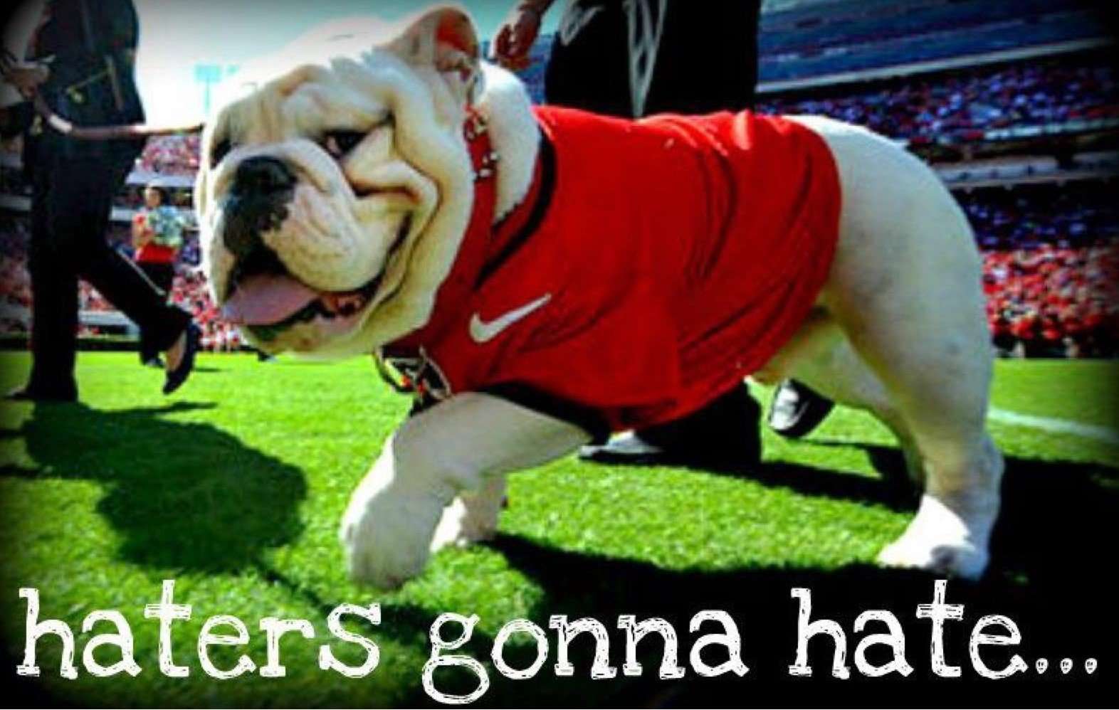 Chip Carter Music - Where The Food Comes From